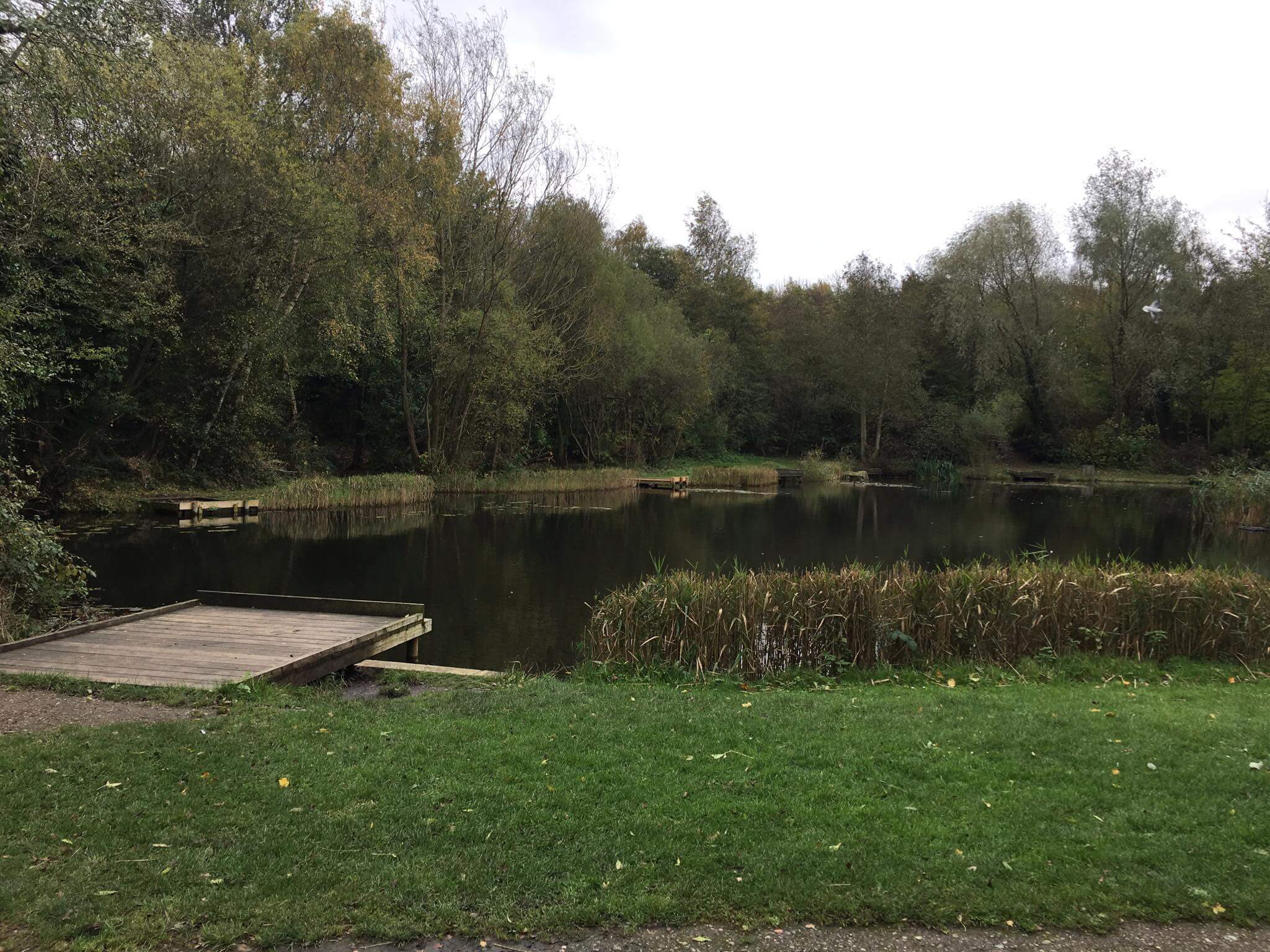 Tibshelf Ponds – Area Fish